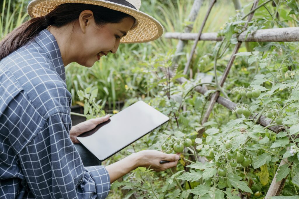 Techcoop Raises $5 Million to Support Smallholder Farmers and Agri-SMEs ...