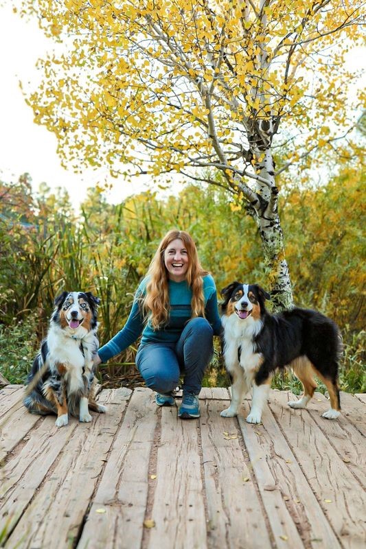 Happy Aussie Announces New Training Platform for Australian Shepherds